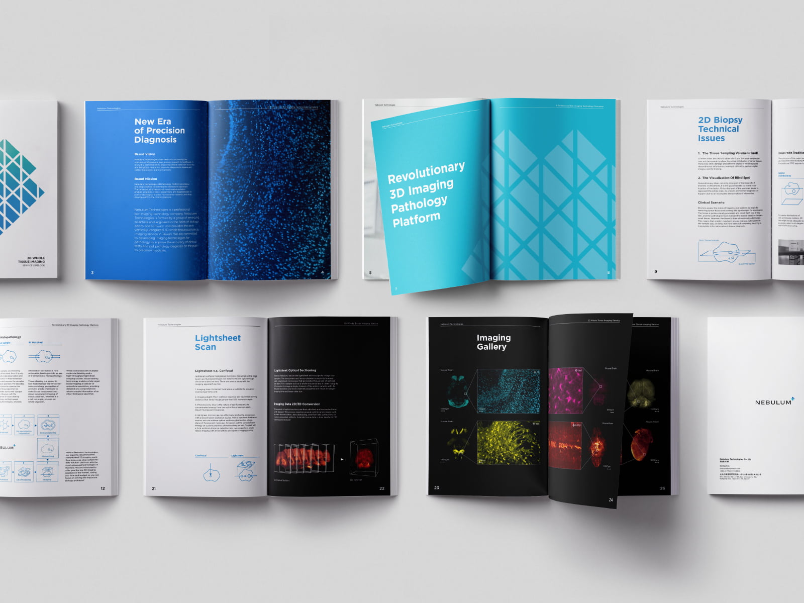 Nebulum 諾倫科技 • Vetica Group Taiwan